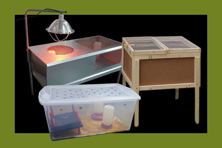 Intro to Quail Brooders – Myshire Farm Coturnix Quail
