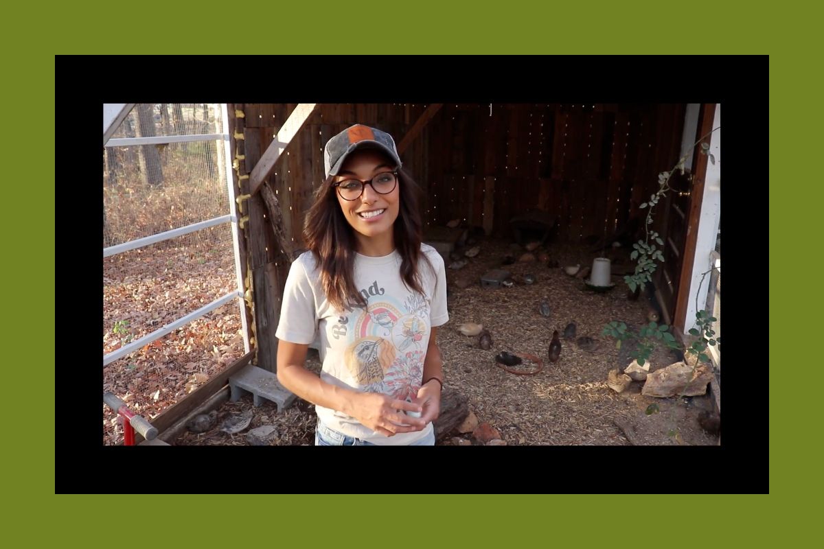 Intro to Quail Aviaries – Myshire Farm Coturnix Quail