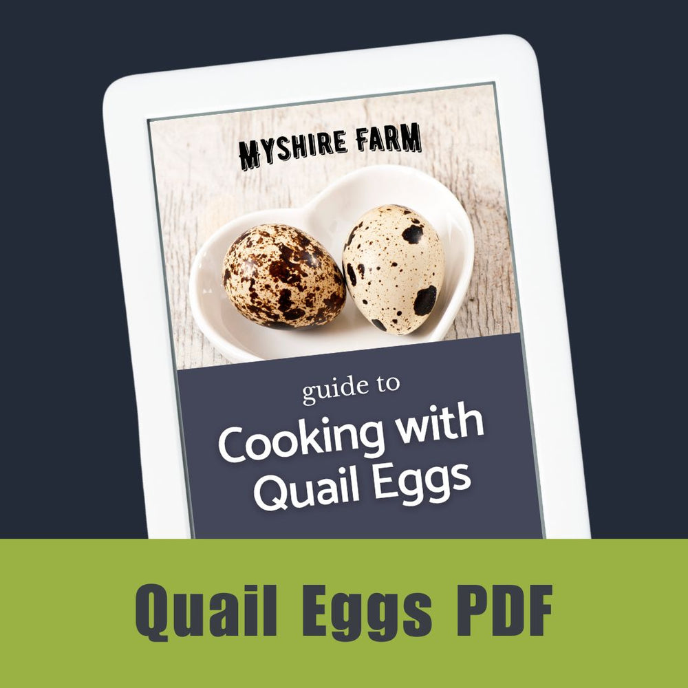Free Resources – Myshire Farm Coturnix Quail