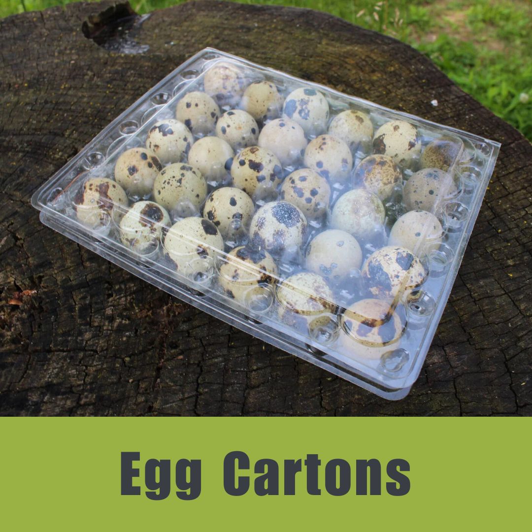 Quail Egg Carton (holds 30 eggs) – Myshire Farm Coturnix Quail