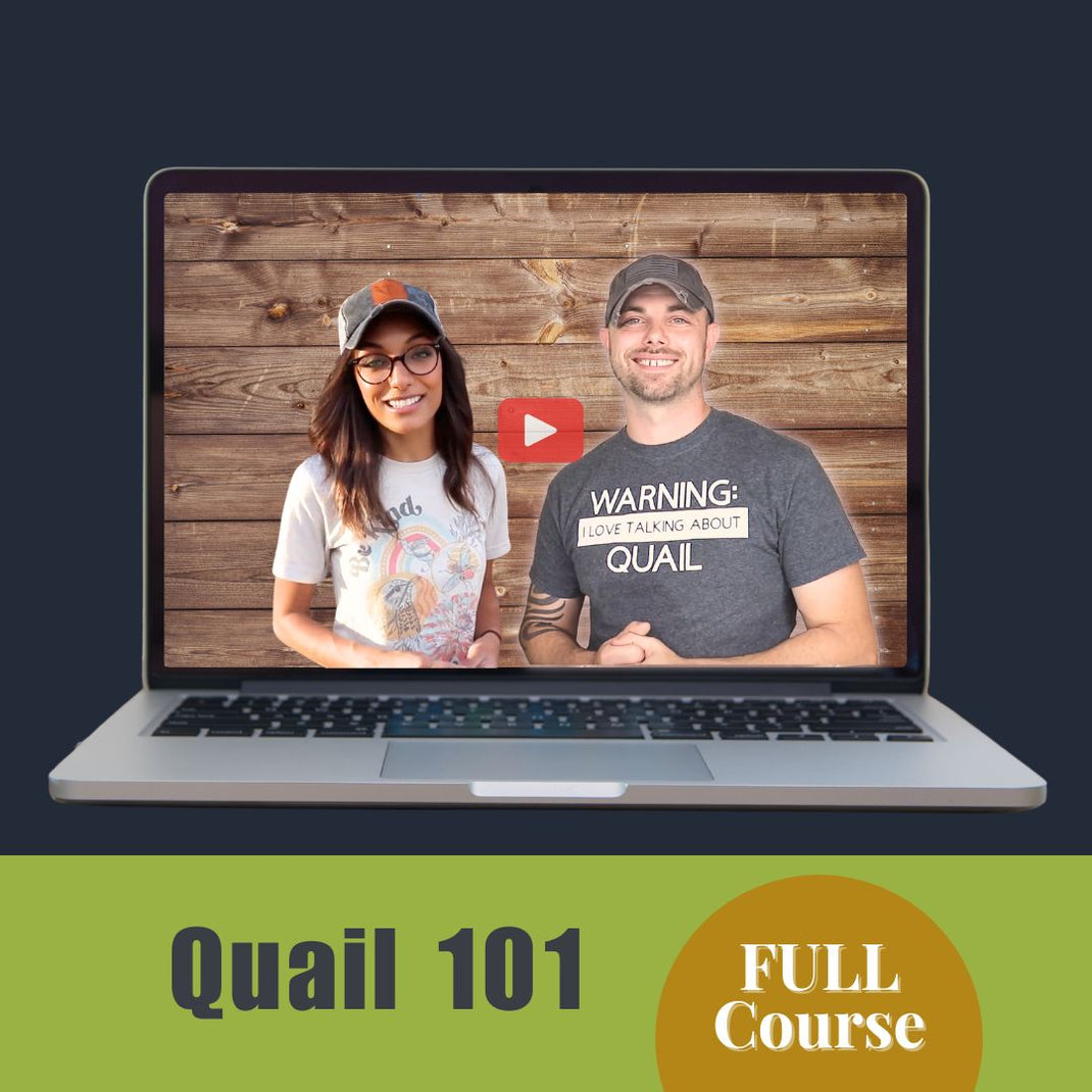 Online Class: Quail 101 – Myshire Farm Coturnix Quail