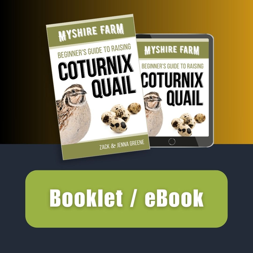 Shop – Myshire Farm Coturnix Quail